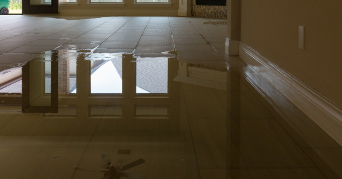 What to Do with Water Damage - D.C. Area Paint &… | Williams Painting