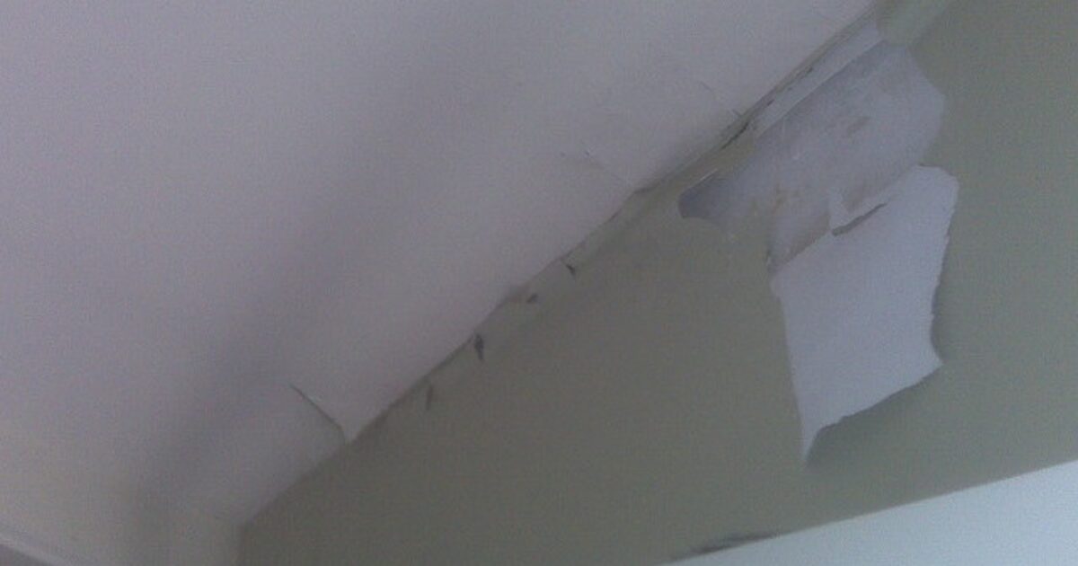 Our Professional Painters Repair Water-Damaged… | Williams Painting
